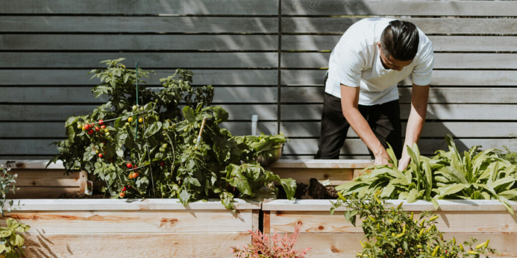 28 Best Gardening Methods to Create Your Dream Garden - IronCabin